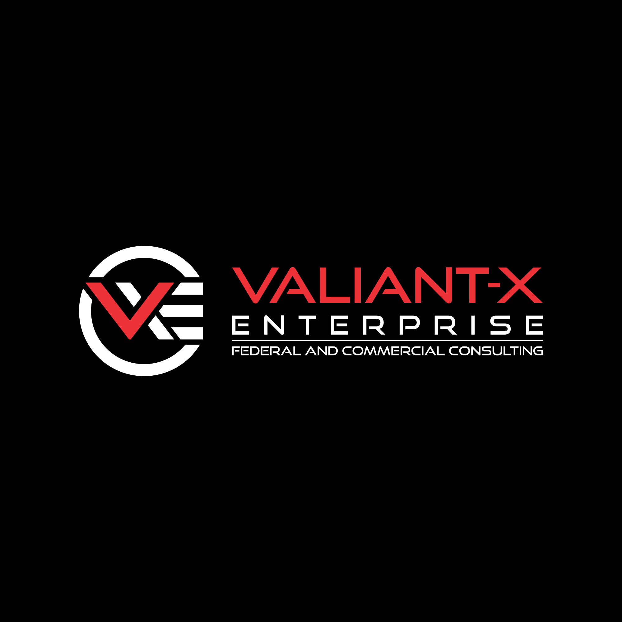 Valiant-X | DOD Contractor IT Solutions, Talent Acquisition